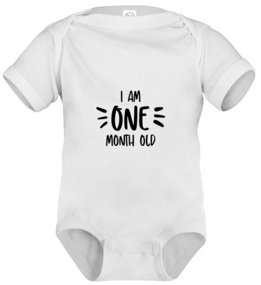 Baby Milestones, Monthly Milestone Bodysuits, Newborn Gift, Baby's ...