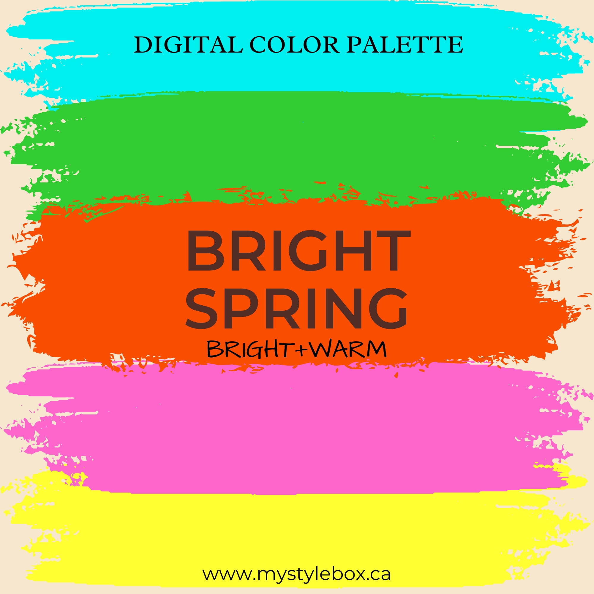 Bright Spring Season Digital Color Palette - Etsy