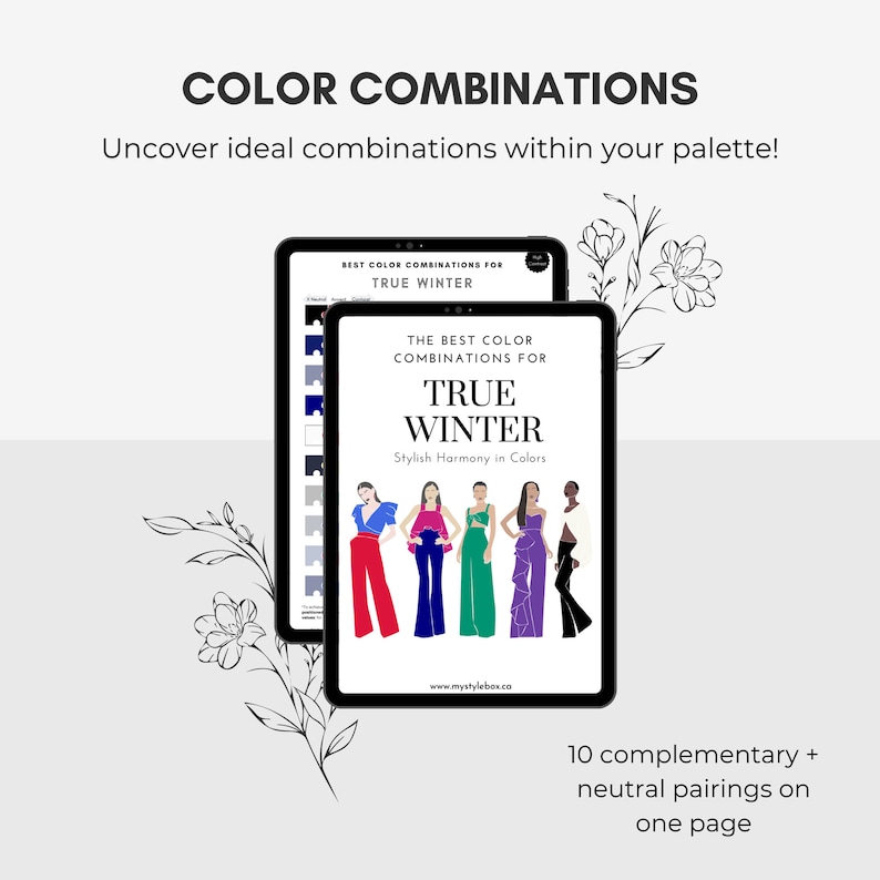 True Winter Season Digital Color Palette and Color Combinations Bundle ...