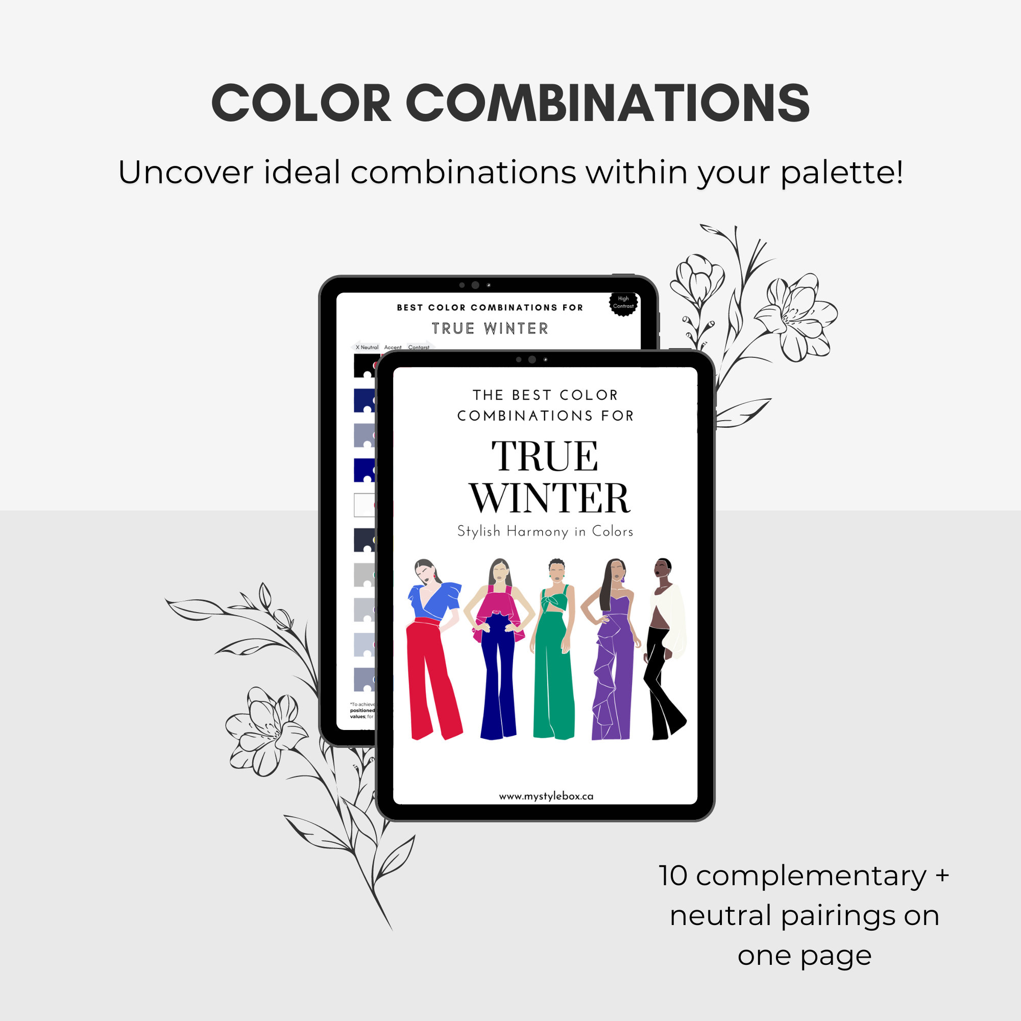 True Winter Season Digital Color Palette and Color Combinations Bundle ...