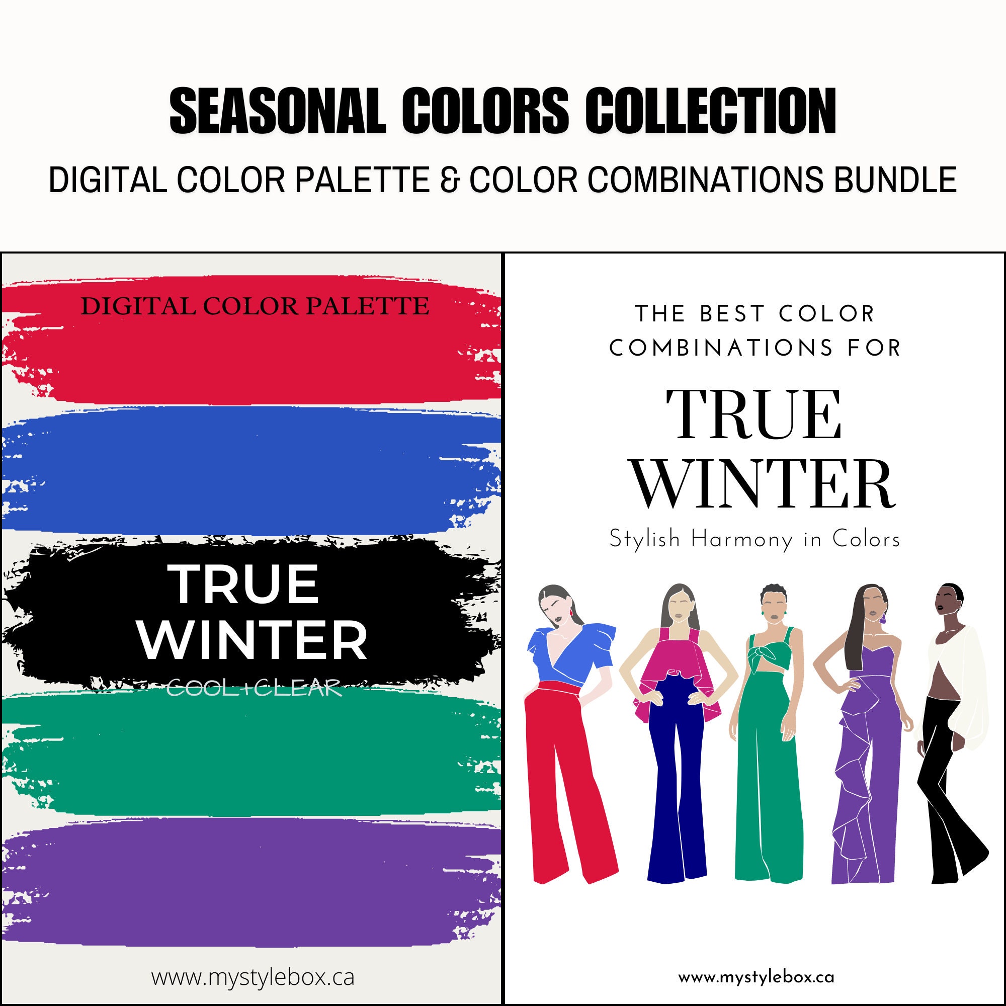 True Winter Season Digital Color Palette and Color Combinations Bundle ...