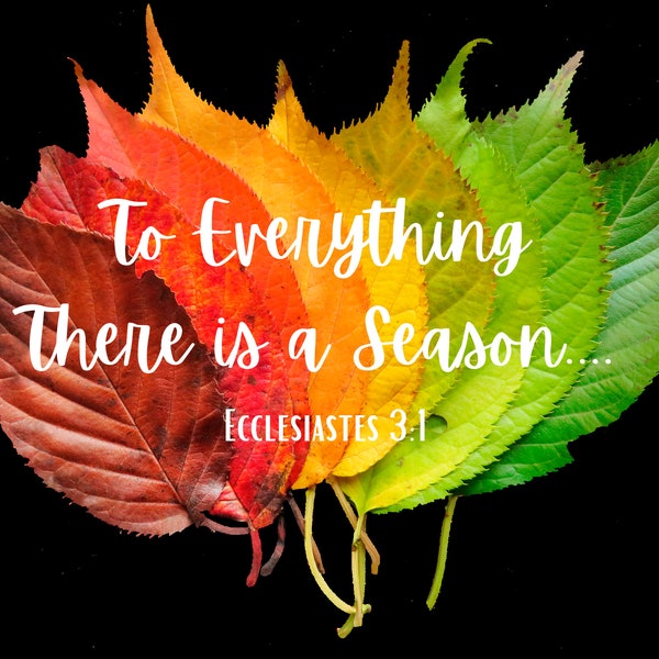 To Everything There is a Season Stencil - Etsy