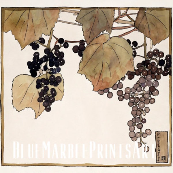 Grapes Wallpaper - Etsy