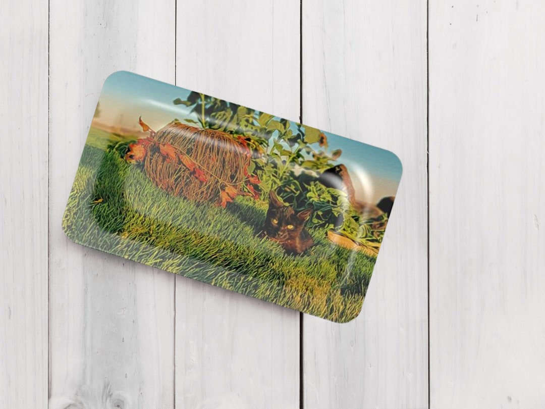 Plastic Black Cat Tray, Made in the UK, Fall Themed Kitten Tea Tray ...