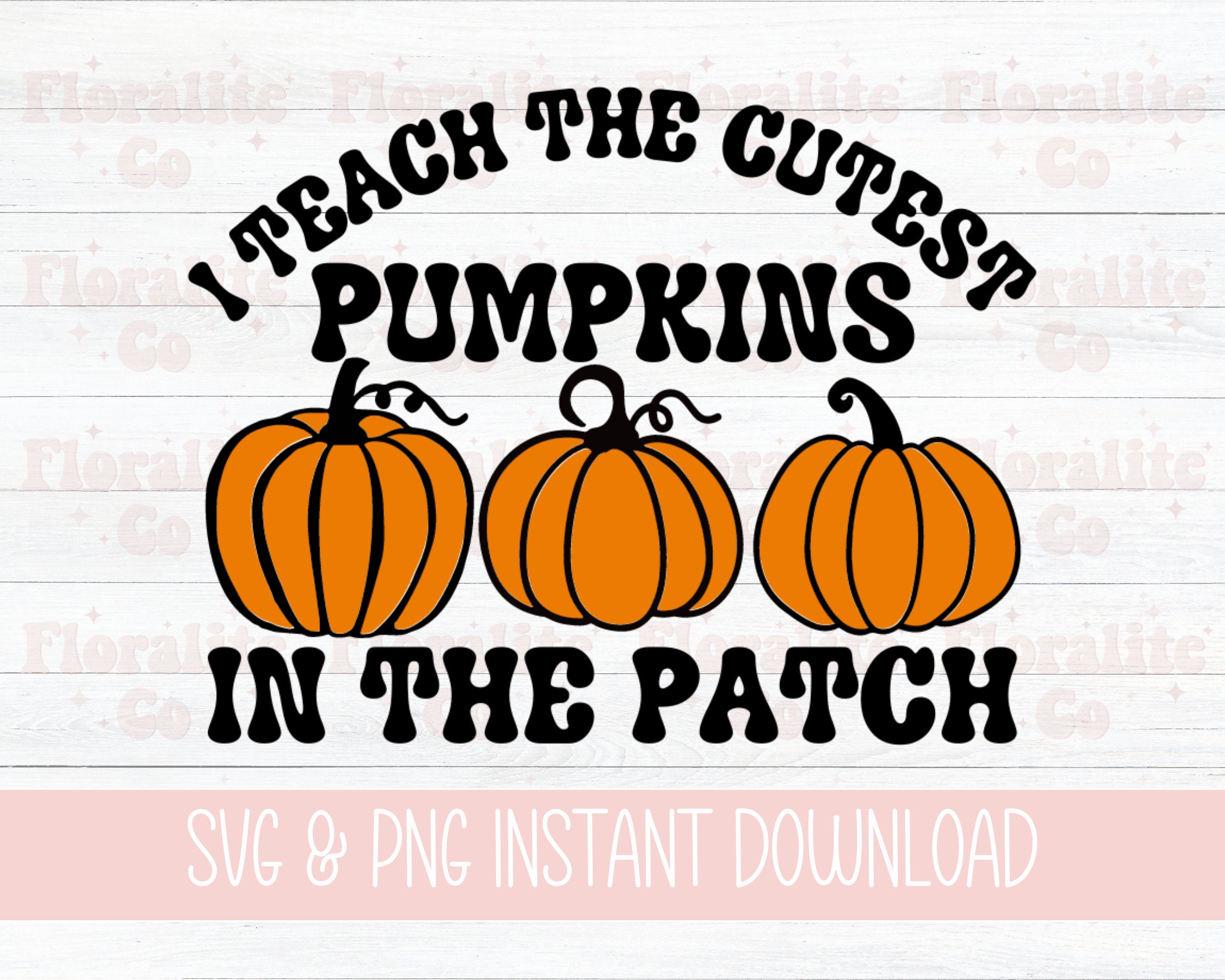 Fall Teacher Svg Png I Teach the Cutest Pumpkins in the Patch - Etsy