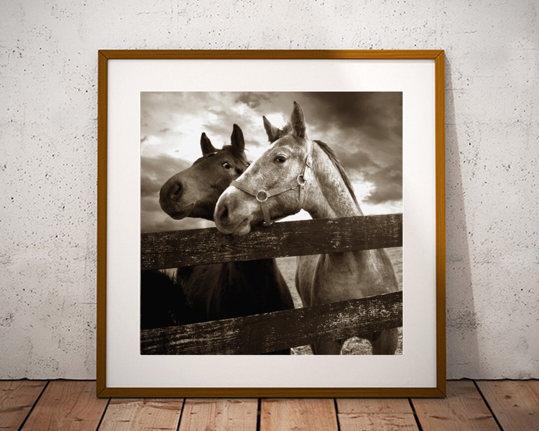 2 Horses in Sepia - Horse Photography Print Wall Art - Etsy