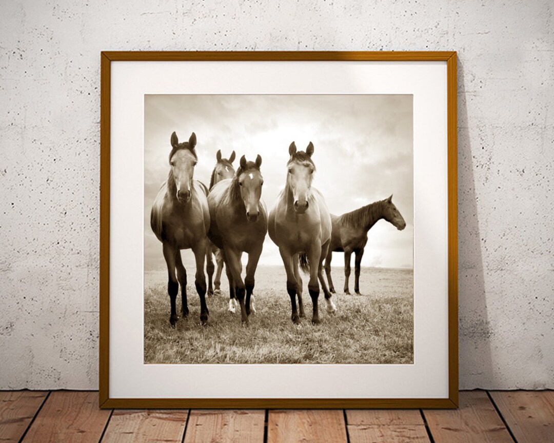 5 Horses - Sepia Horse Photography Print Wall Art - Etsy