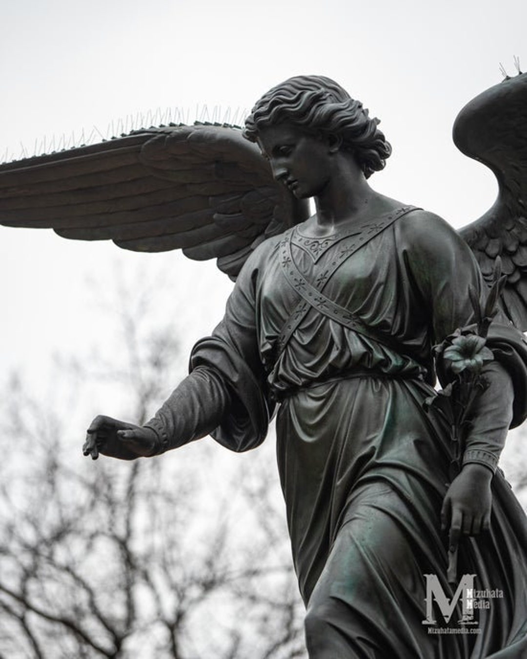 Angel Looking Down; Central Park New York, New York; Original, Fine Art ...