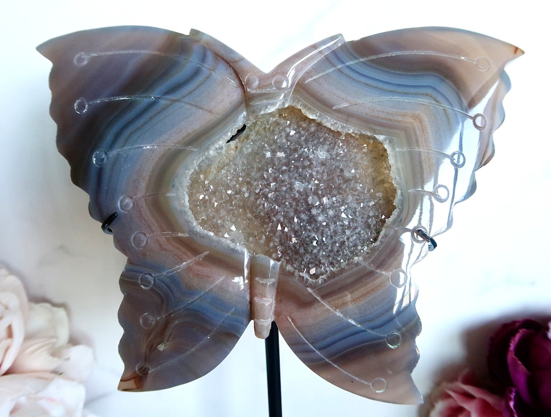 LARGE 1.5 Lb. Banded Druzy Agate Butterfly on Black Stand Hand Carved ...