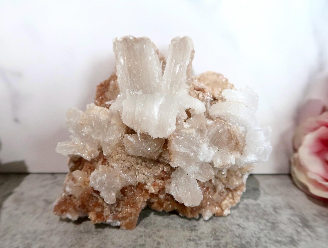 LUSTROUS Large Ram's Horn Selenite Mineral Specimen From Guizhou, China ...