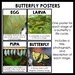 Butterfly Life Cycle Science Unit | Science Reading Passages, Lapbook ...
