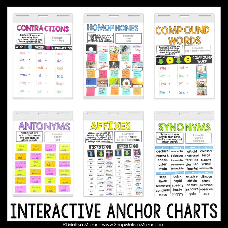 Types of Words Anchor Charts - Interactive Anchor Charts [DIGITAL ...