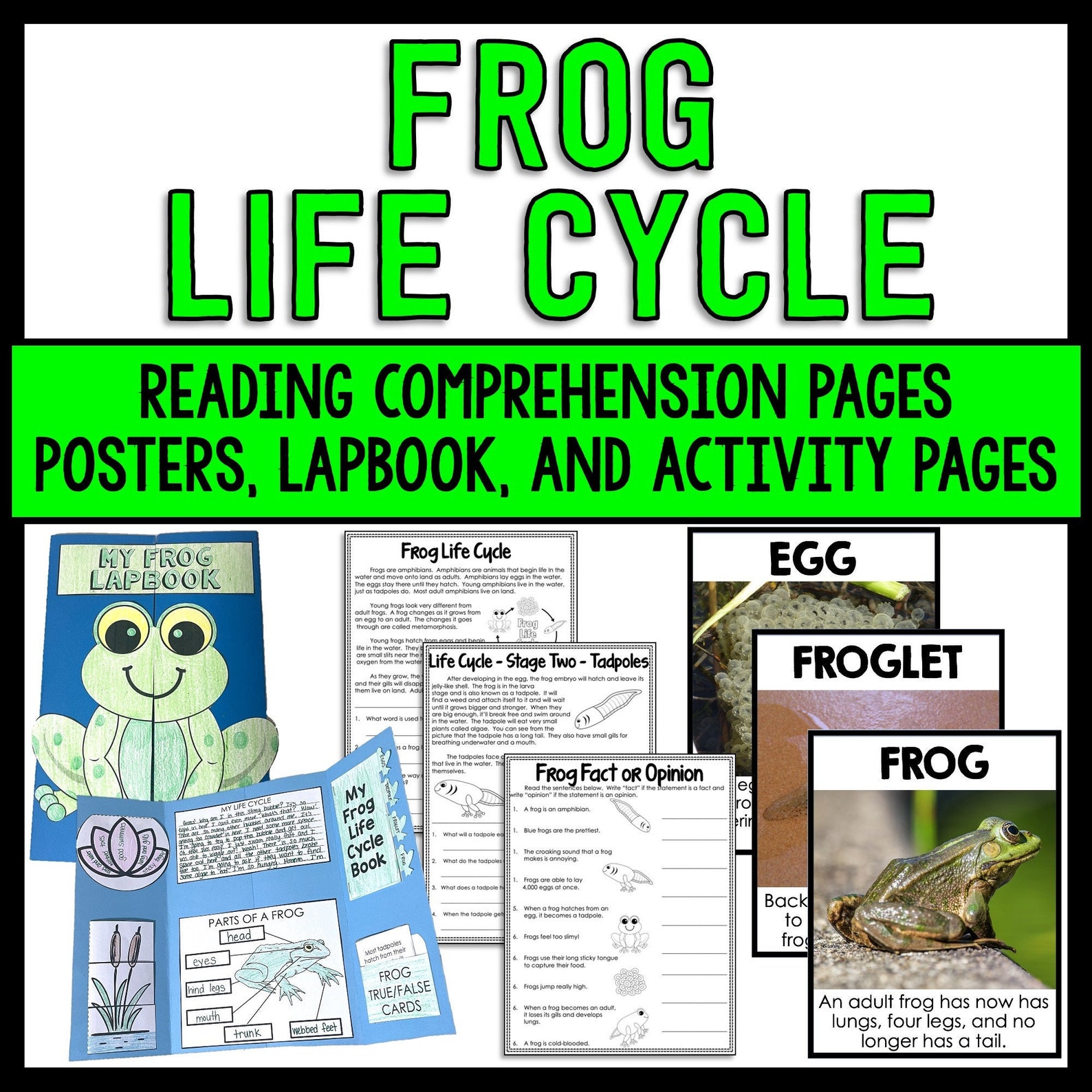 Frog Life Cycle Science Unit | Science Reading Passages, Lapbook, and ...