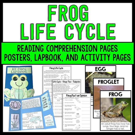 Frog Life Cycle Science Unit Science Reading Passages - Etsy