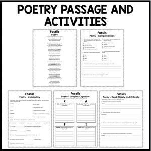 Dinosaur Fossils Reading Comprehension | Paired Texts Passages ...