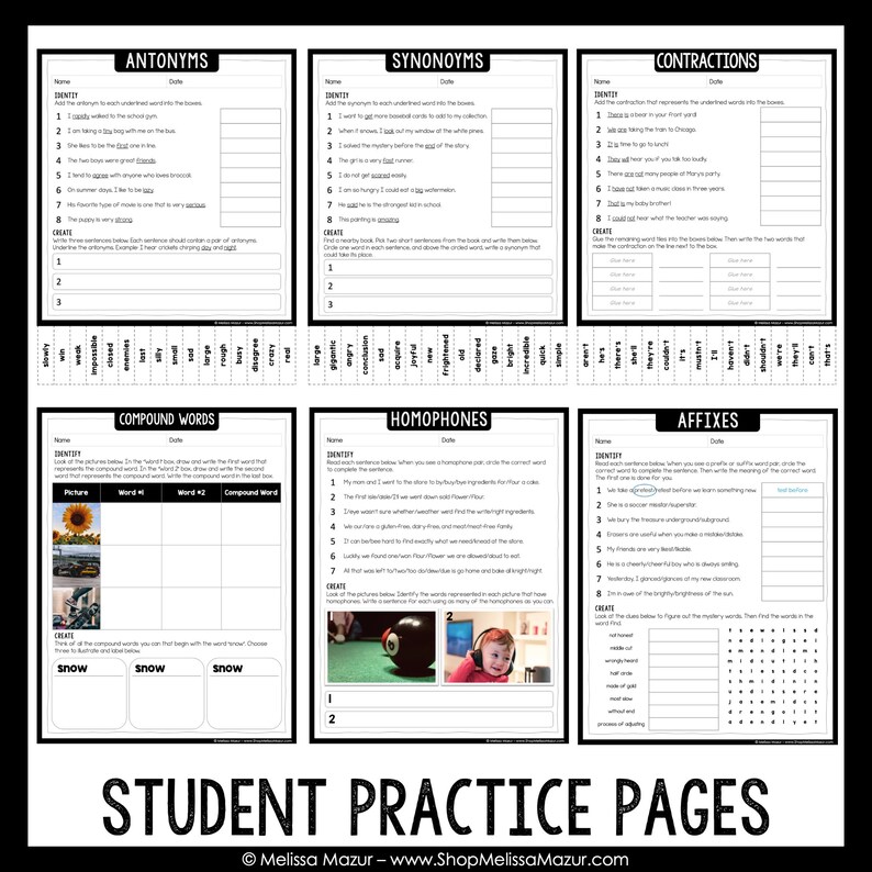 Types of Words Anchor Charts - Interactive Anchor Charts [DIGITAL ...