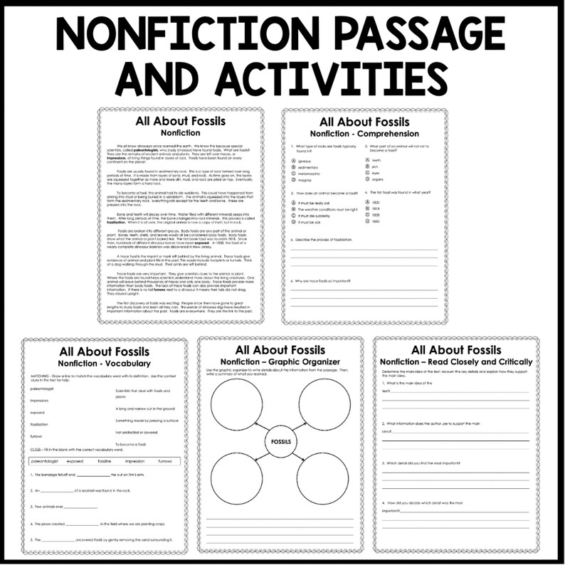 Dinosaur Fossils Reading Comprehension | Paired Texts Passages ...