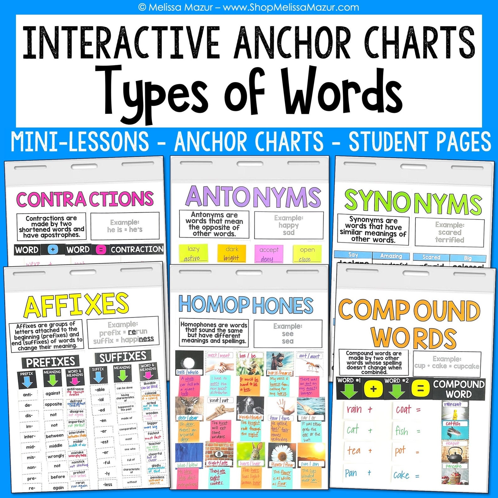 Types of Words Anchor Charts - Interactive Anchor Charts [DIGITAL ...