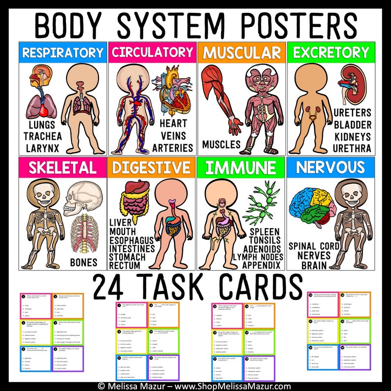 Human Body Systems Science Unit | Science Reading Passages, Task Cards ...