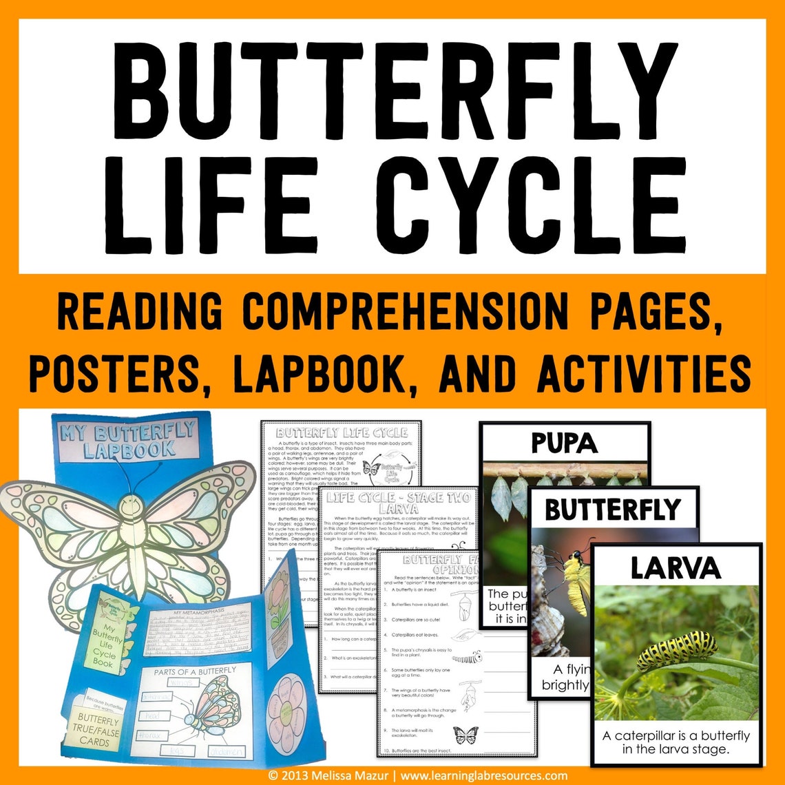 Butterfly Life Cycle Science Unit | Science Reading Passages, Lapbook ...