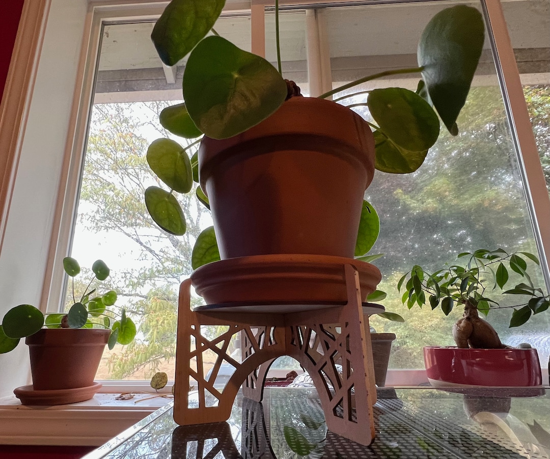 Sleek Geometric Plant Stand: Wood & Acrylic Blend for Modern Botanical ...