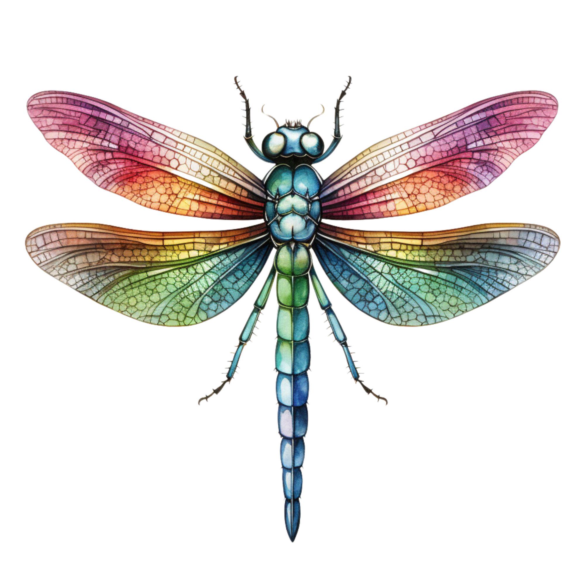 Dragonfly Clipart, Rainbow Dragonfly PNG, Commercial Use Digital ...