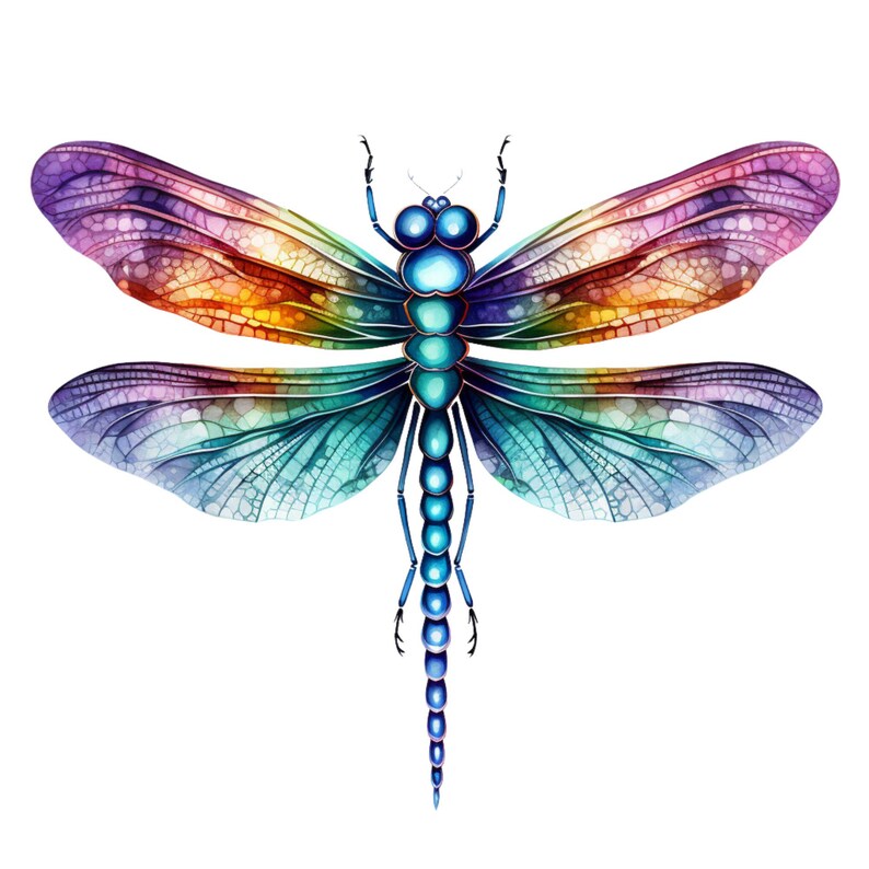 Dragonfly Clipart, Rainbow Dragonfly PNG, Commercial Use Digital ...