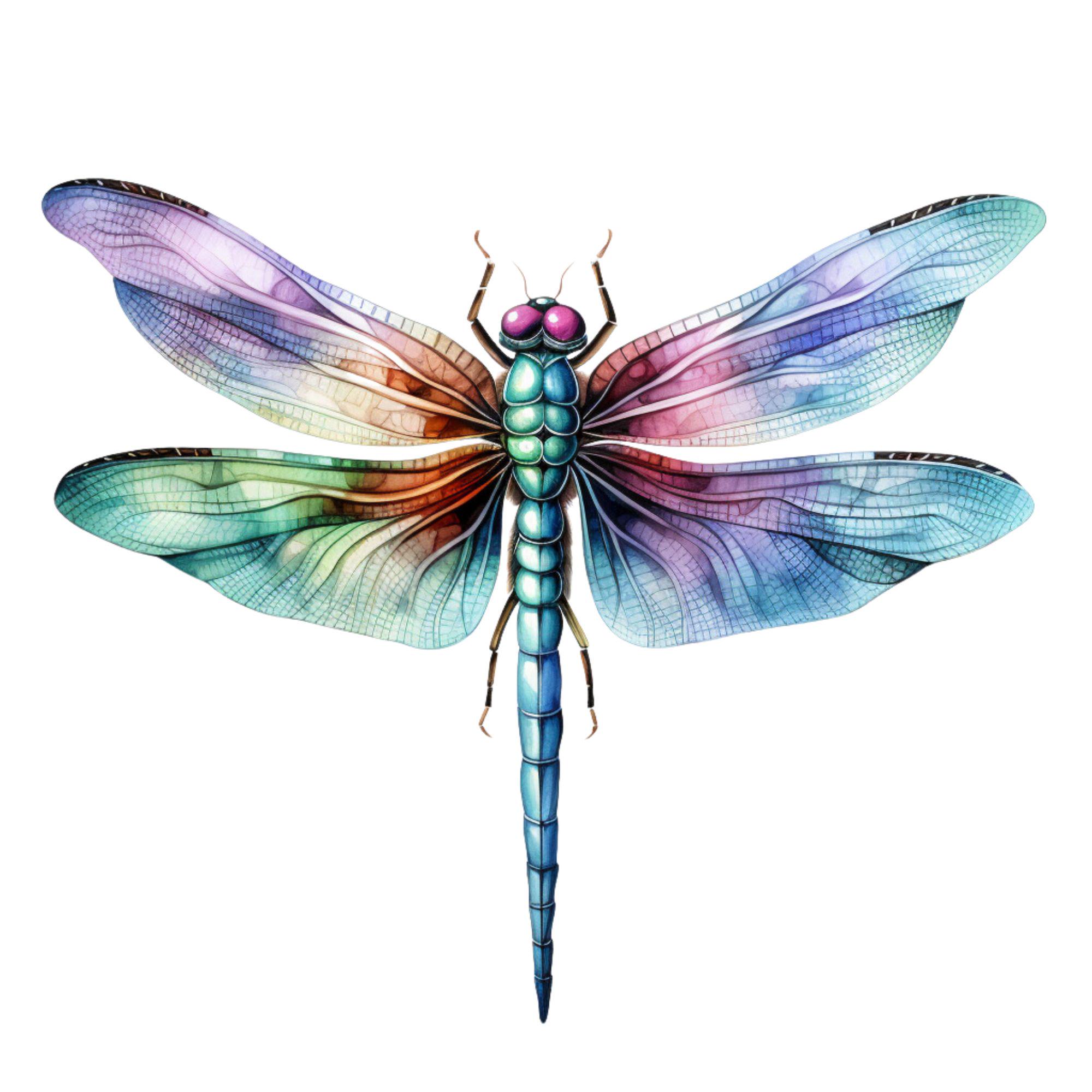 Dragonfly Clipart, Rainbow Dragonfly PNG, Commercial Use Digital ...