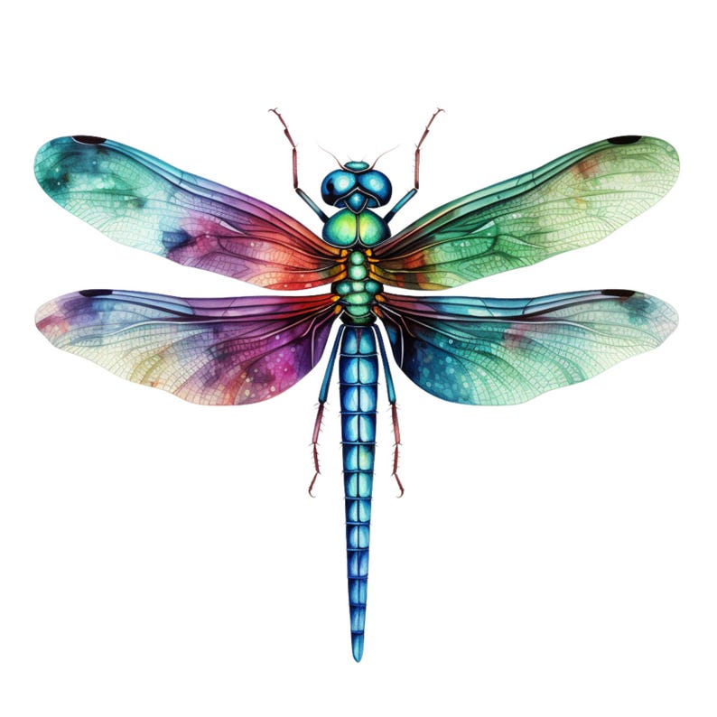 Dragonfly Clipart, Rainbow Dragonfly PNG, Commercial Use Digital ...