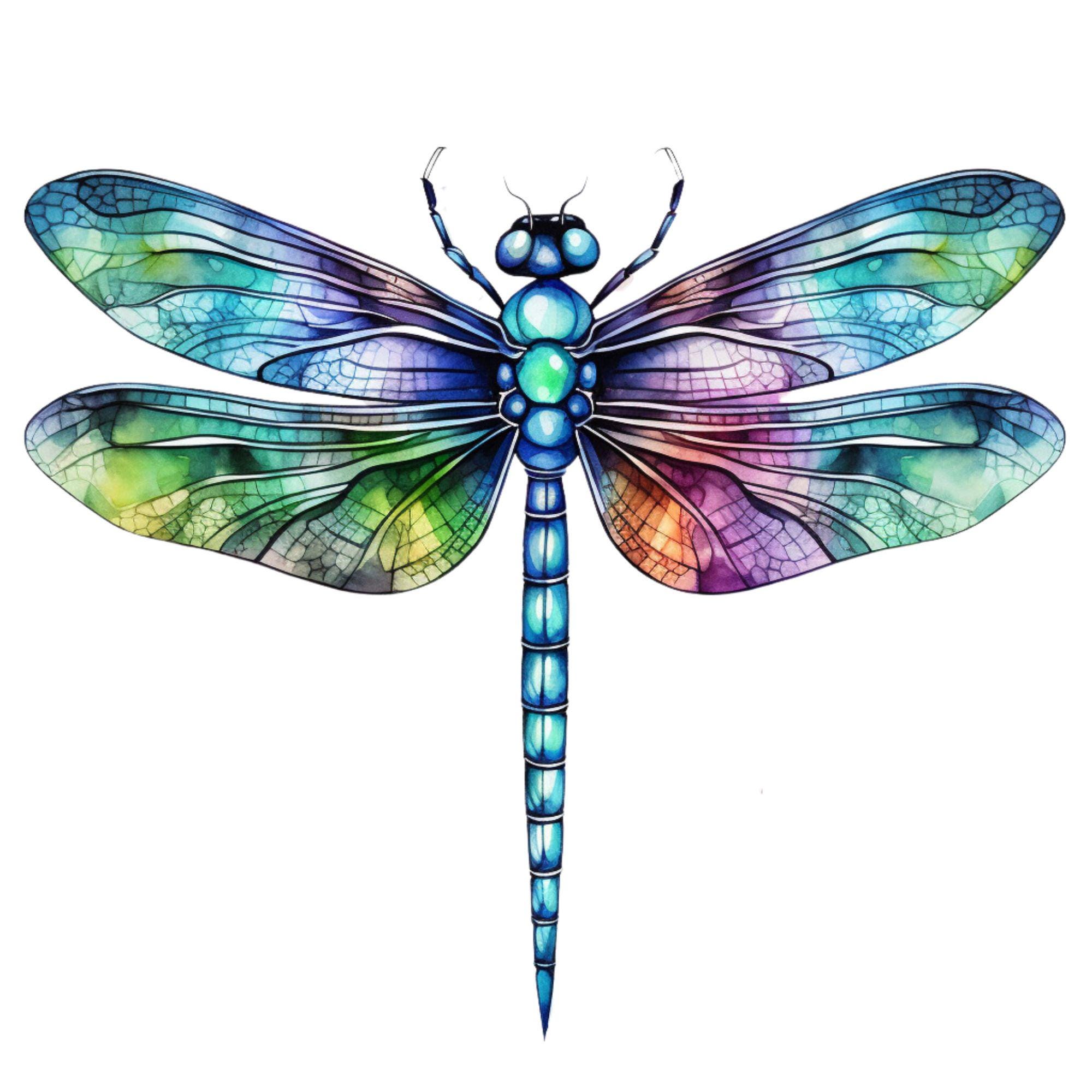 Dragonfly Clipart, Rainbow Dragonfly PNG, Commercial Use Digital ...