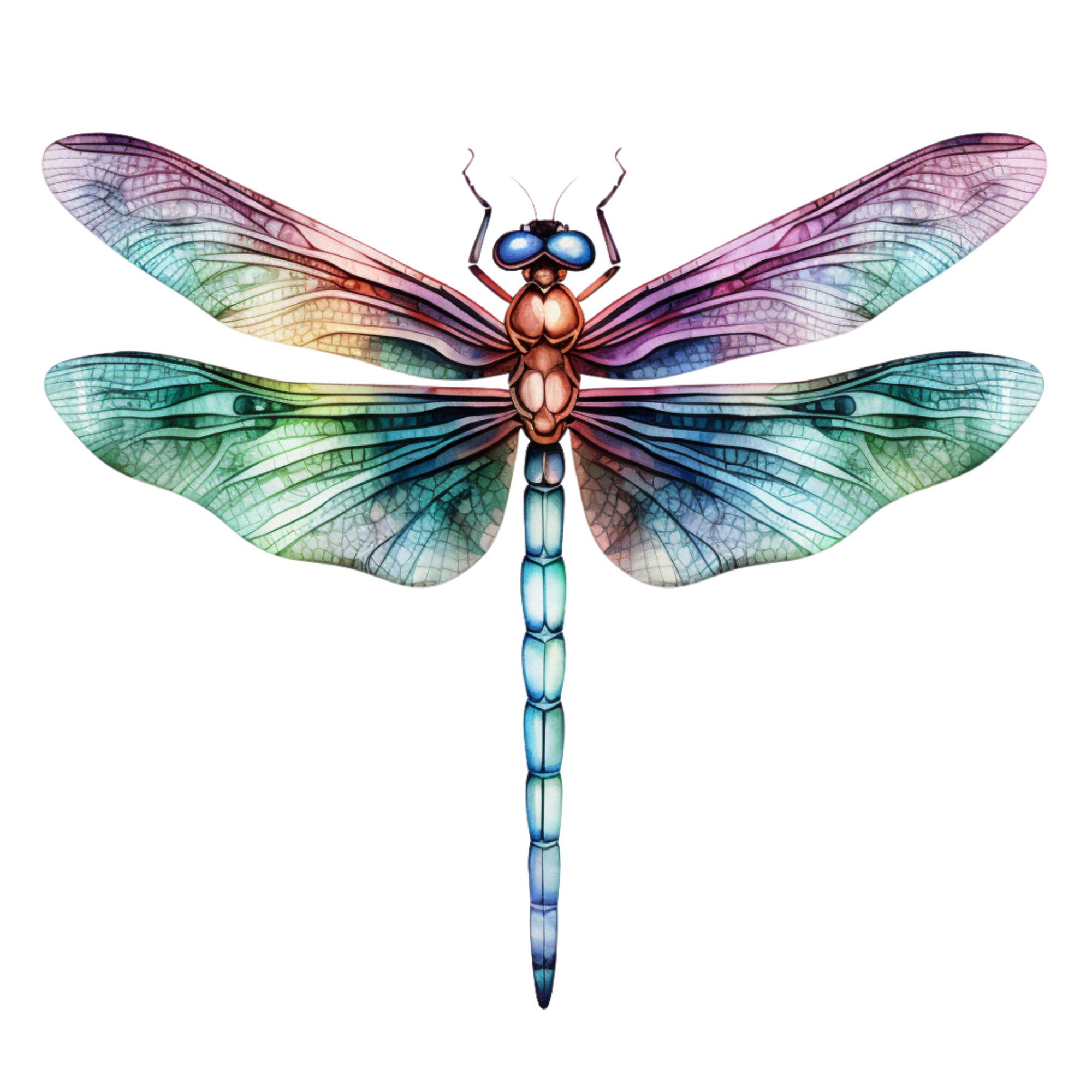 Dragonfly Clipart, Rainbow Dragonfly PNG, Commercial Use Digital ...