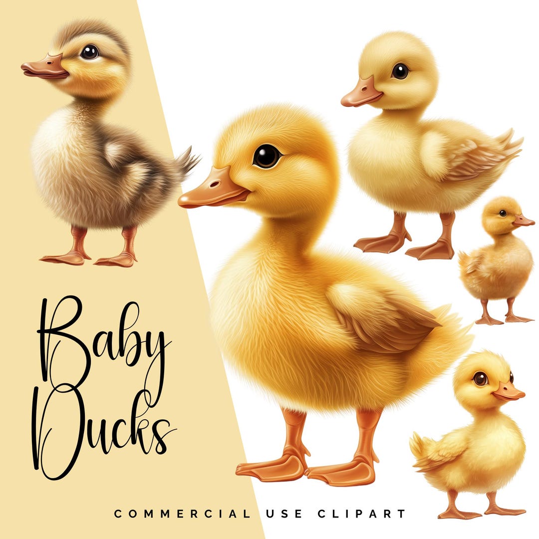 Realistic Cartoon Duck Clipart: High-res PNG Illustrations for Farm ...
