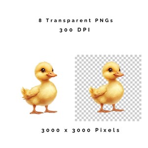 Realistic Cartoon Duck Clipart: High-res PNG Illustrations for Farm ...