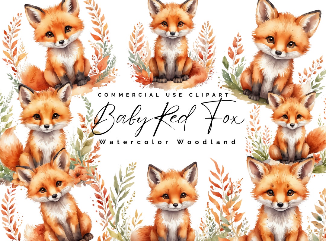 Adorable Baby Fox Clipart Set: Woodland Nursery Graphics, Digital PNG ...