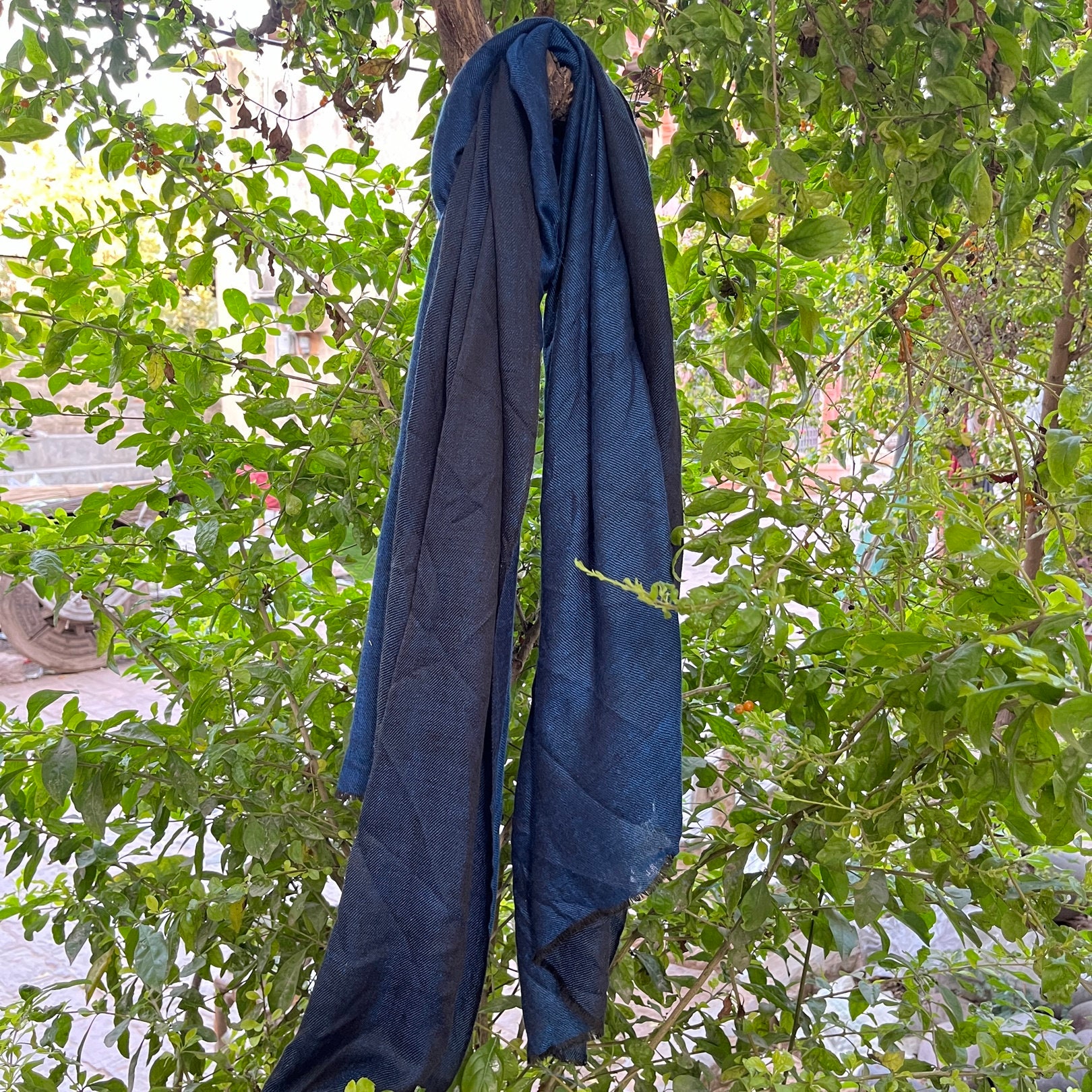 Persian Blue Peruvian Vicuña Fiber, 100% Peru Vicuña Scarf, Handwoven ...