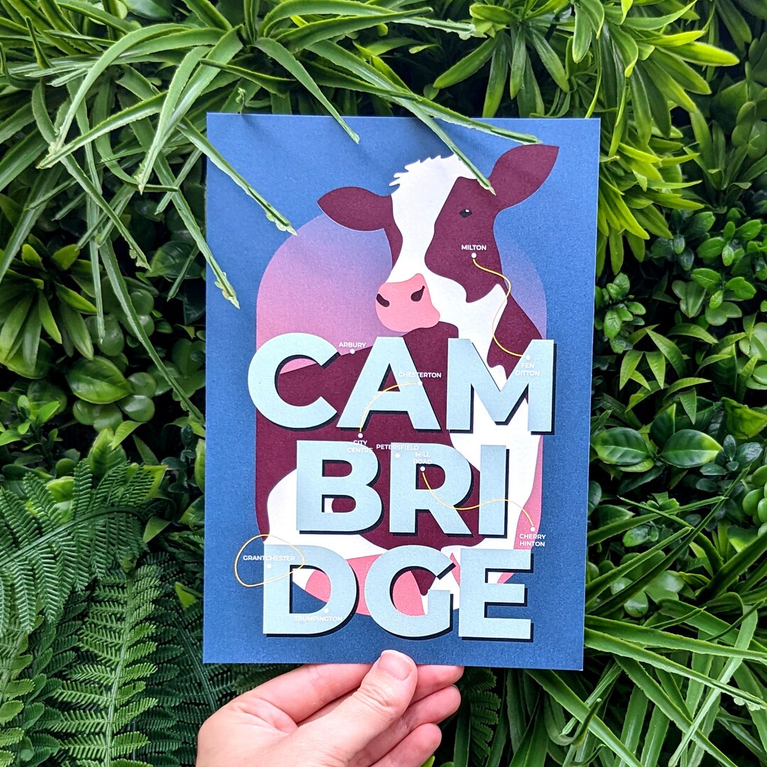 Cambridge Cow A5/A4 City Print Illustrated Print Gift - Etsy