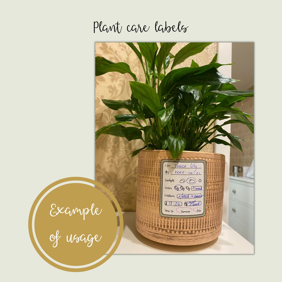 Plant Care Tags, Plant Care Label, Printable Houseplant Tag, Indoor ...