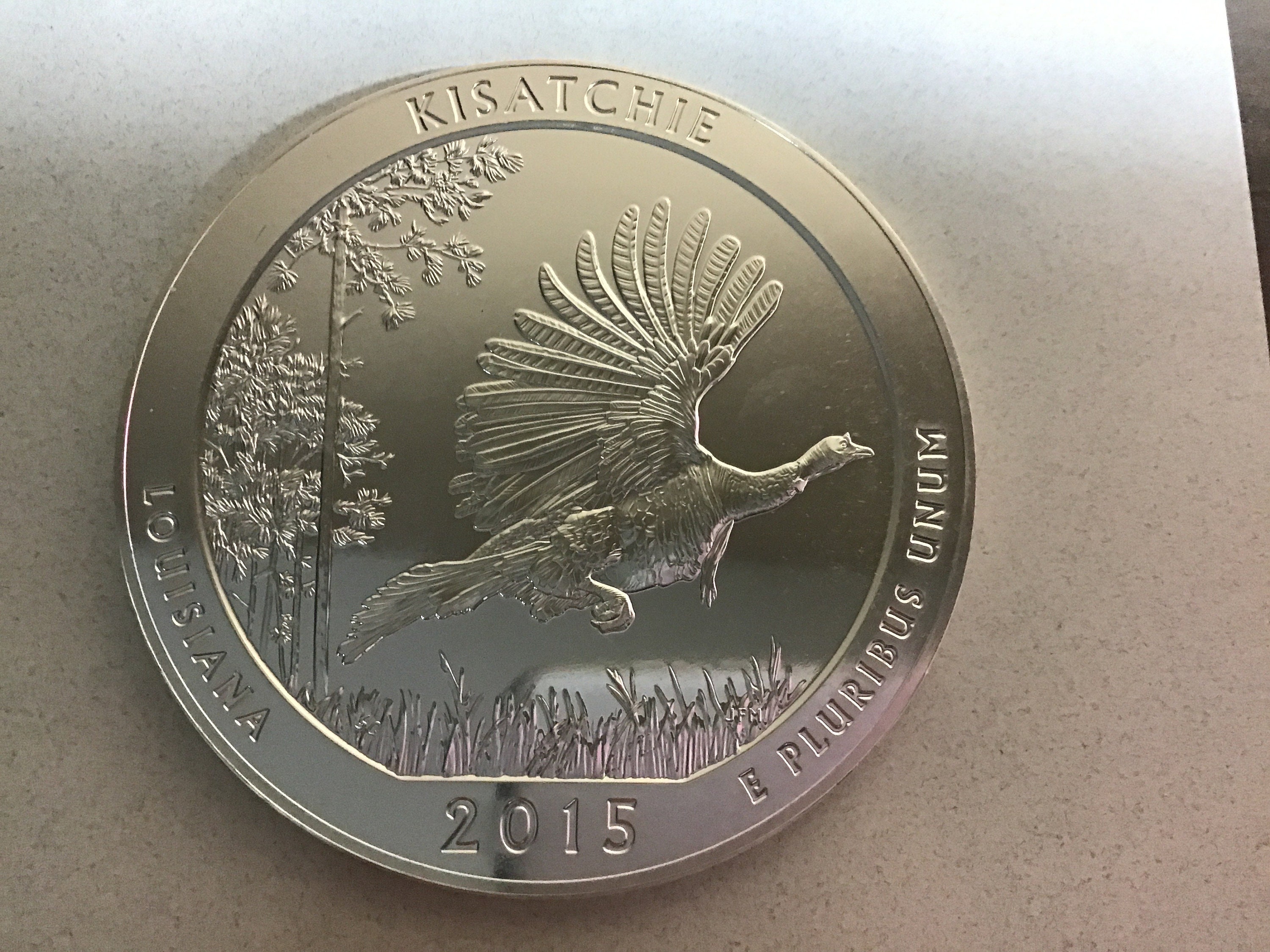 SILVER 5 Ounce Round 999 - Etsy