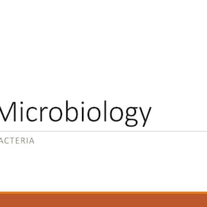 Microbiology Bacteria Notes - Etsy