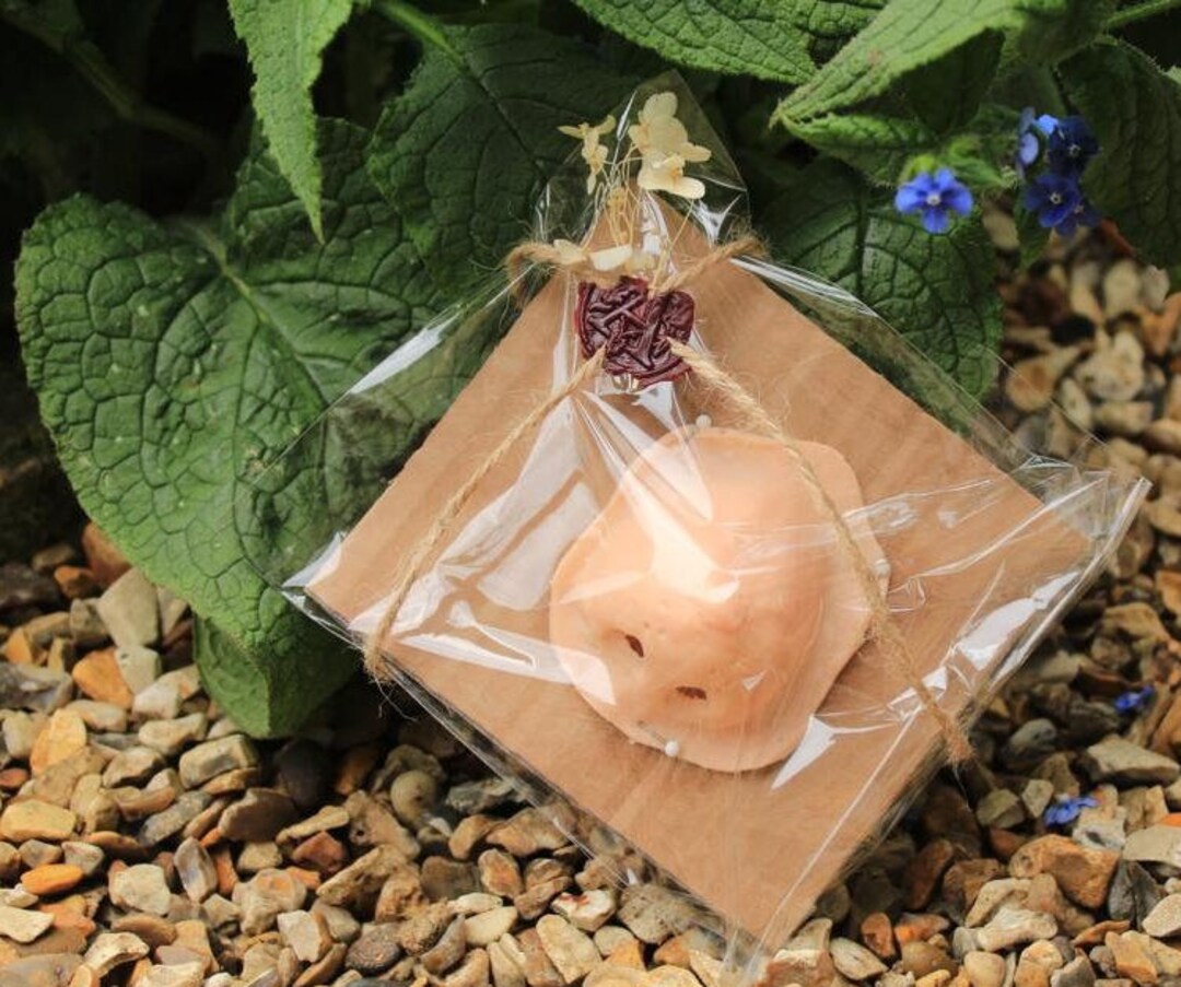 MOUSE NOSE Prosthetic Piece / Handmade Silicone / Halloween, Fancy ...