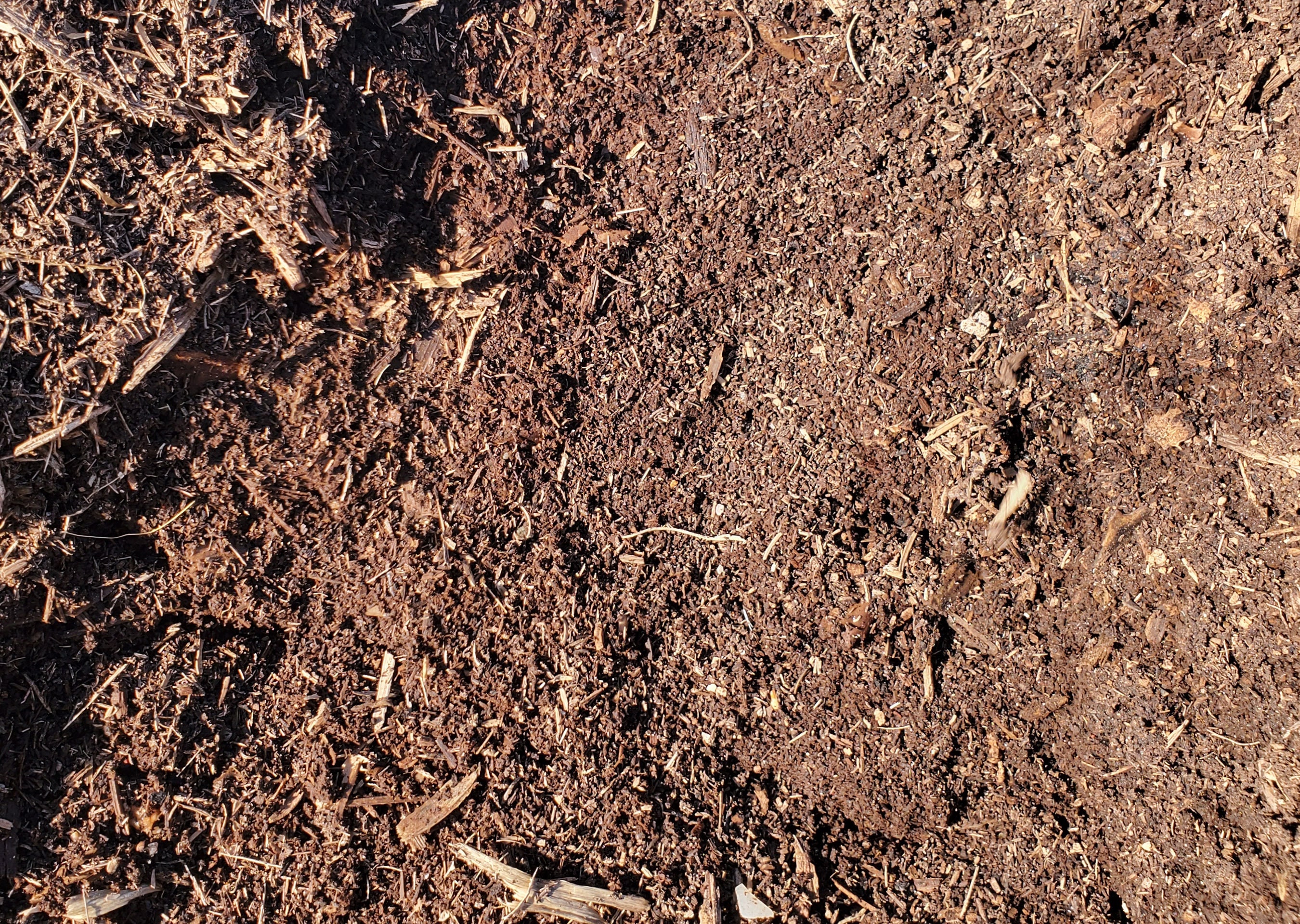 Fungal Dominant Compost Made in Johnson-su Bioreactor Concentrated Worm ...