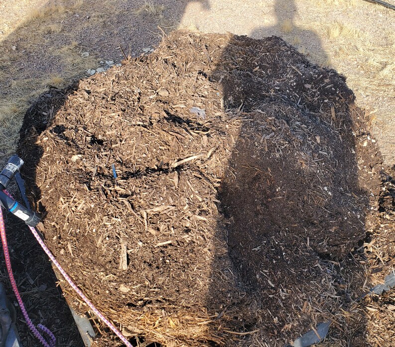 Fungal Dominant Compost Made in Johnson-su Bioreactor Concentrated Worm ...