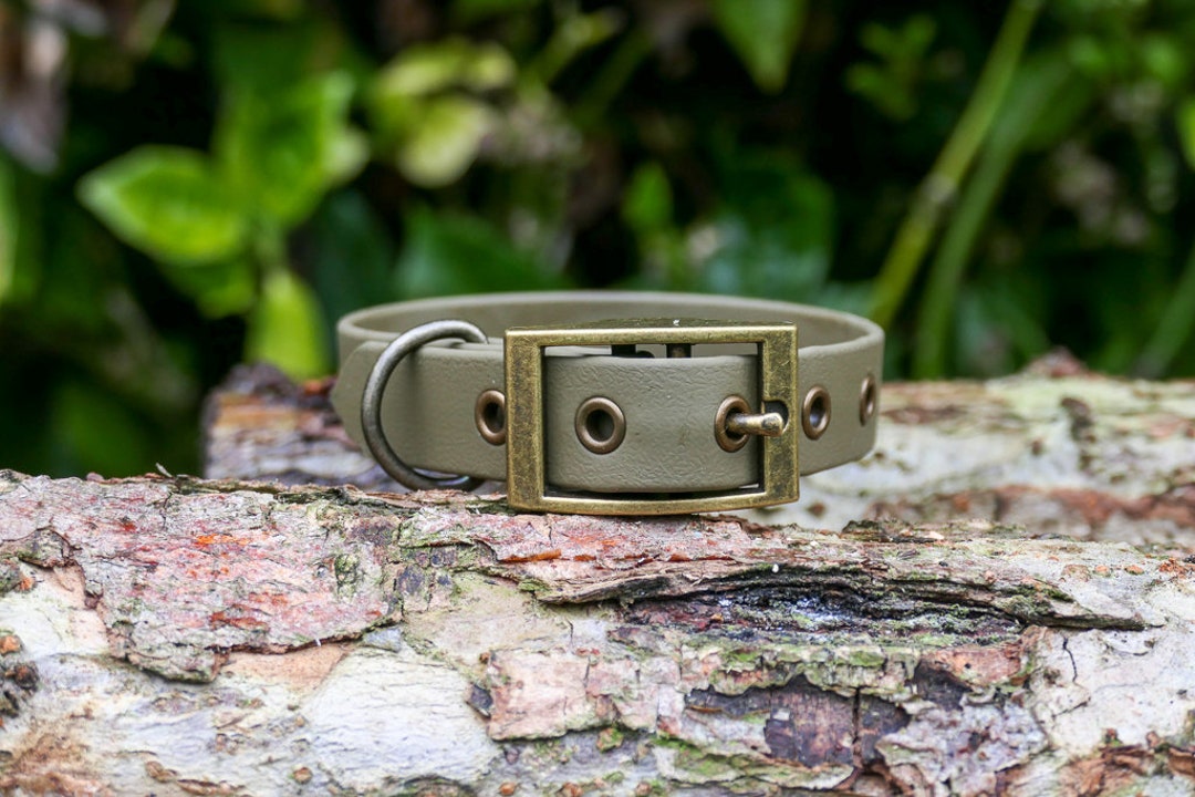 The obie Our One Colour Biothane 'BETA' ® Waterproof Collar Design Your ...