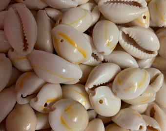 Cowrie Shell Art - Etsy