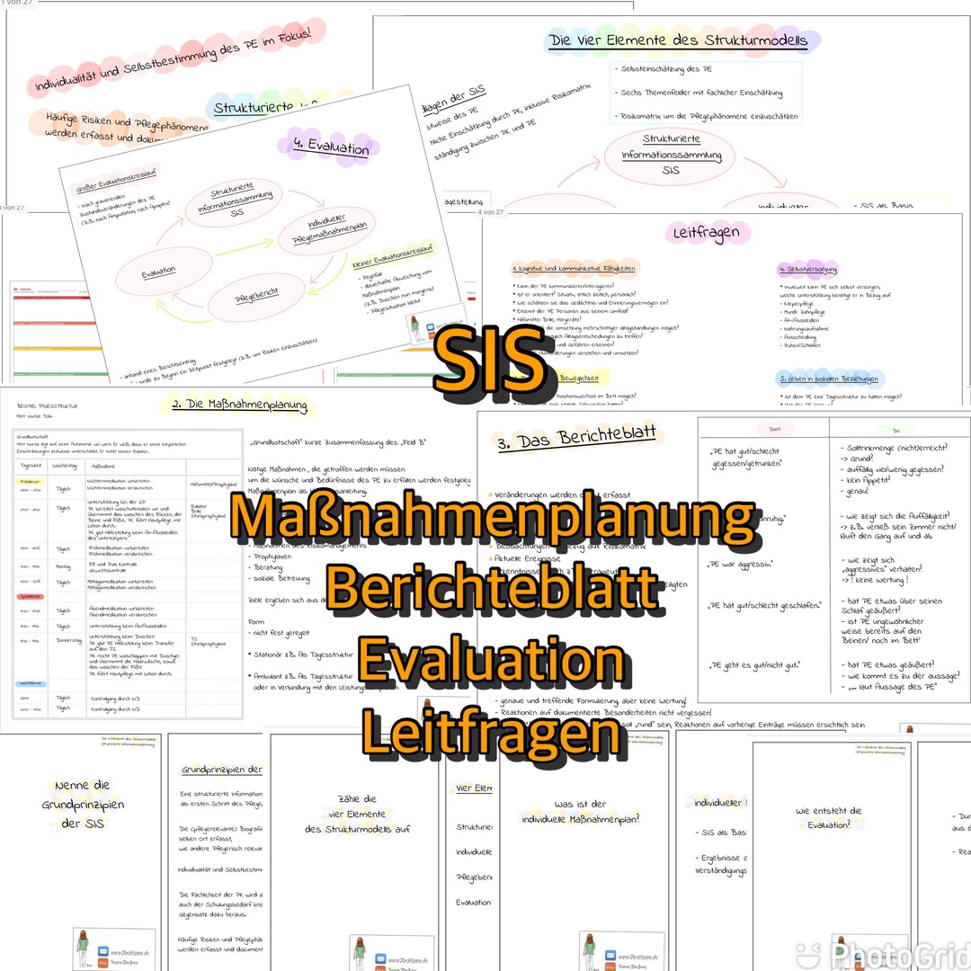 027 SIS Summary and Flashcards - Etsy