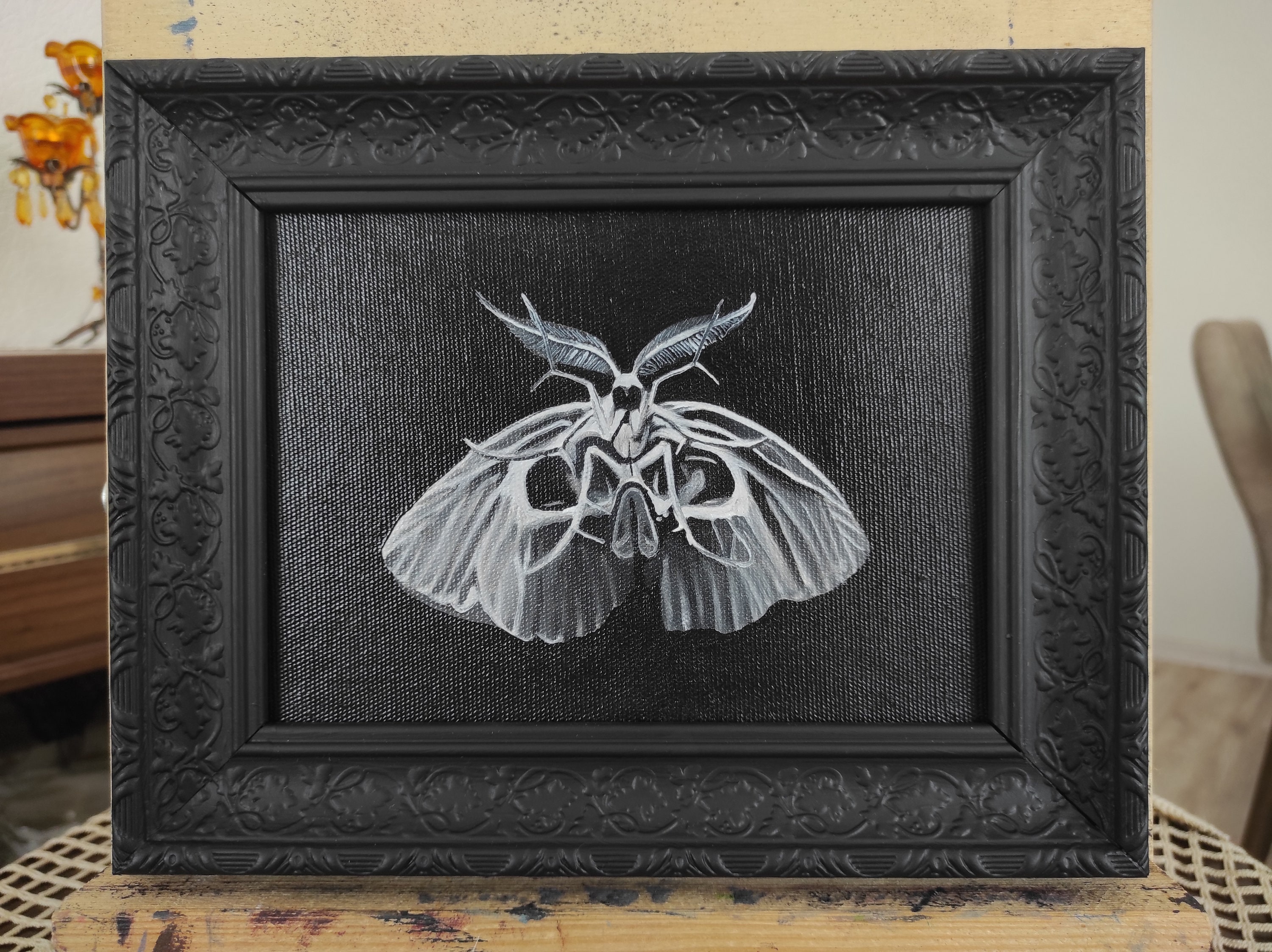Original Moth Painting, Oil Painting, Moth Illustration, Home Decor for ...