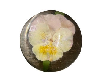 Pansy Paperweight - Etsy