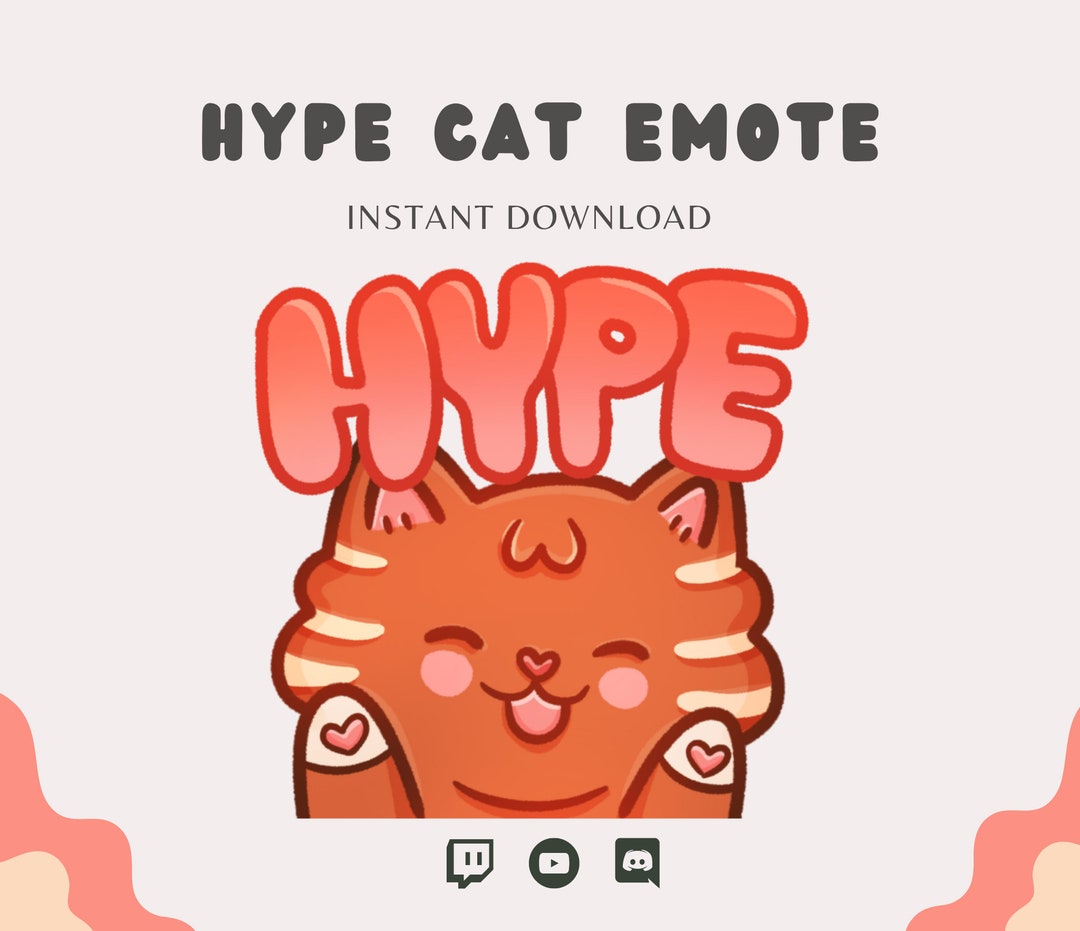 Cat Hype Emote for Twitch Discord - Etsy