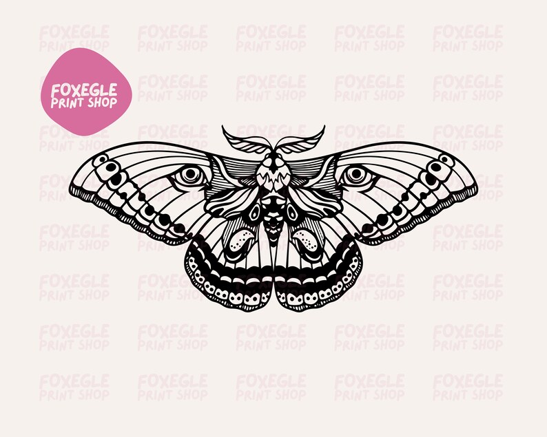 Cecropia Moth SVG / PNG Files I Original Artwork I Instant Digital ...