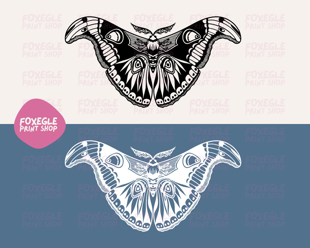 Atlas Moth SVG / PNG Files I Original Artwork I Instant Digital ...